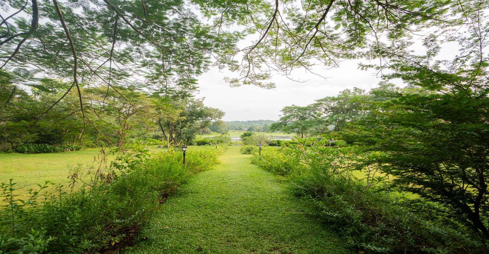 Mansao Curtorim | CGH Earth
