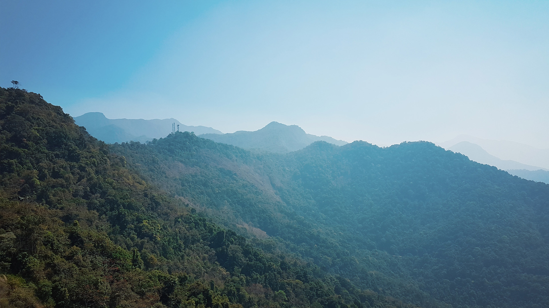 Wayand Wild-Savour the local cuisine, unique to Wayanad