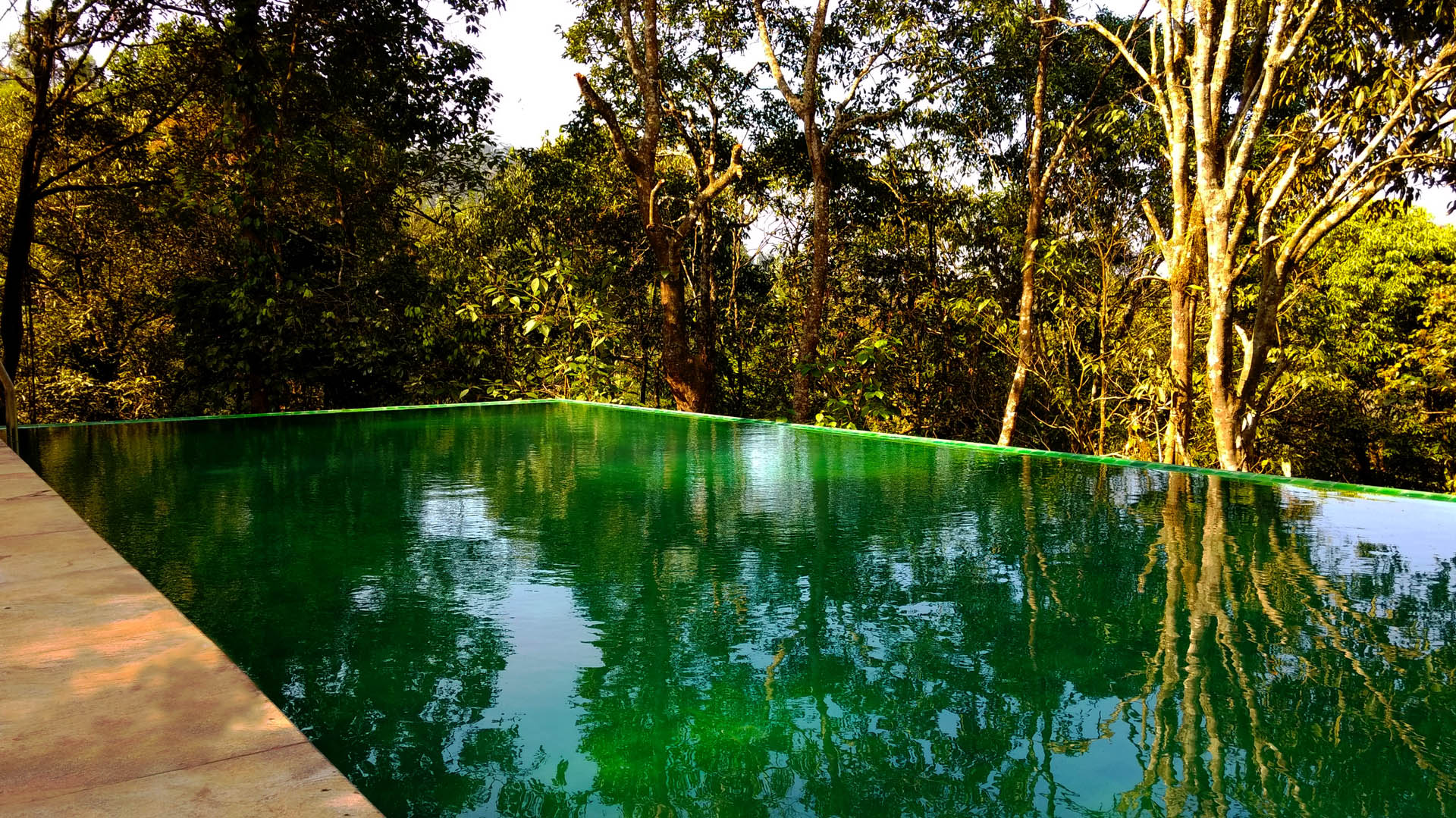 Authentic Experiences at Wayanad Wild| CGH Earth